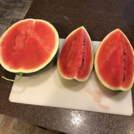 Seeded Watermelon – Morgan County Seeds