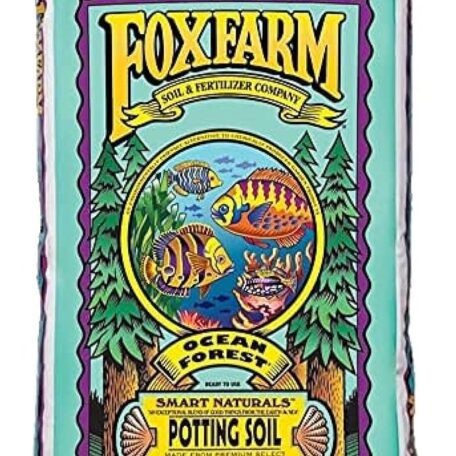 Morgan County Seeds – Top Quality Seeds at an Affordable Price