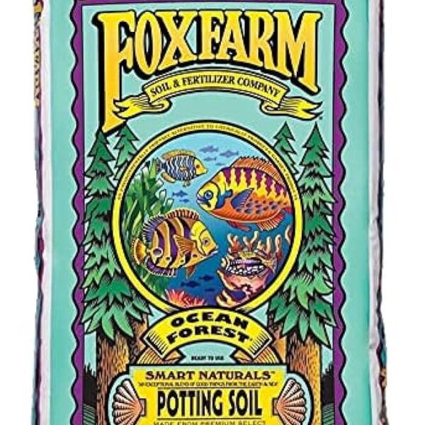 Morgan County Seeds – Top Quality Seeds at an Affordable Price