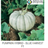 Cushaw Striped - Morgan County Seeds