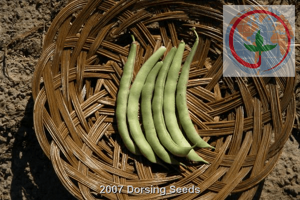 Inoculant - Morgan County Seeds