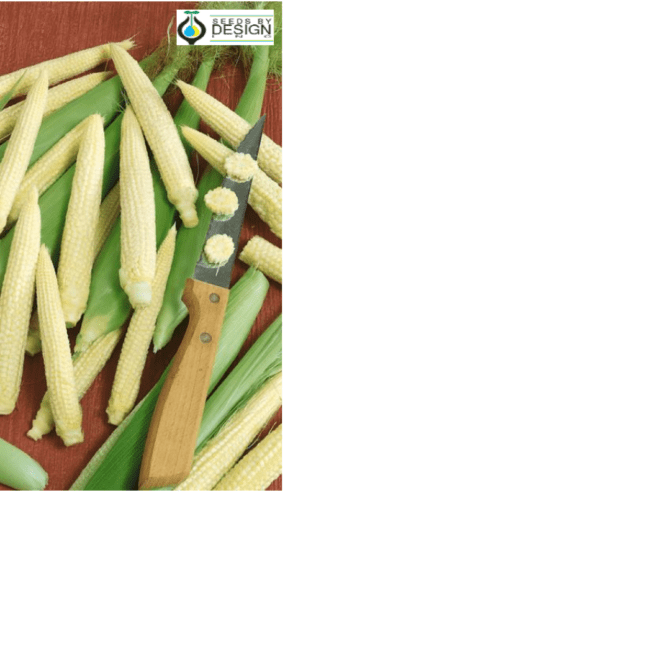 Corn – Morgan County Seeds