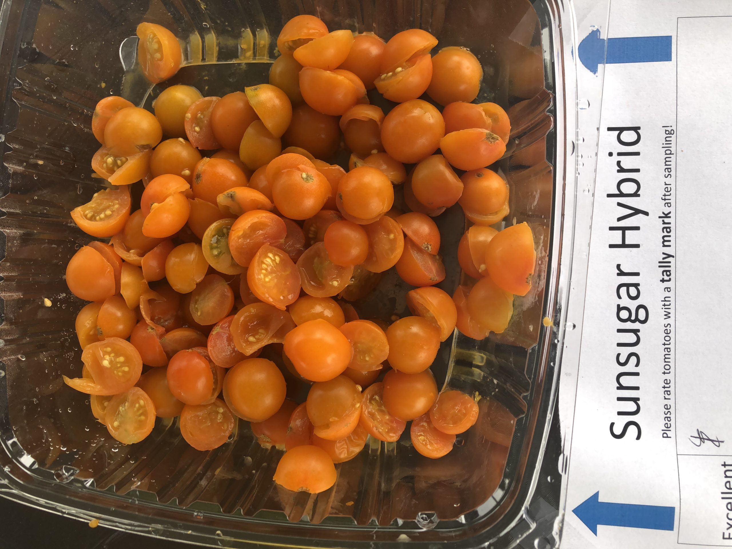 Sun Sugar F1 I - Morgan County Seeds